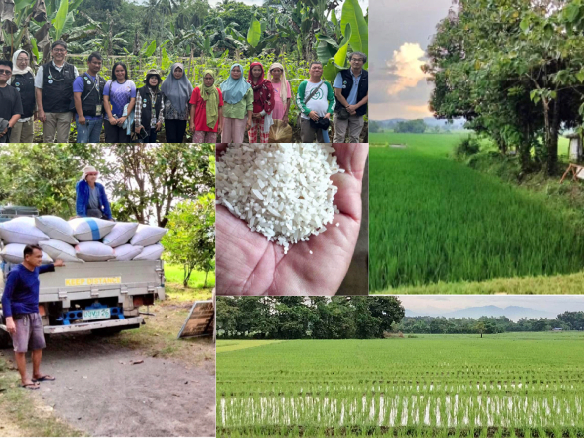 AgriKLIMA - Transforming Filipino Agriculture Through Technology